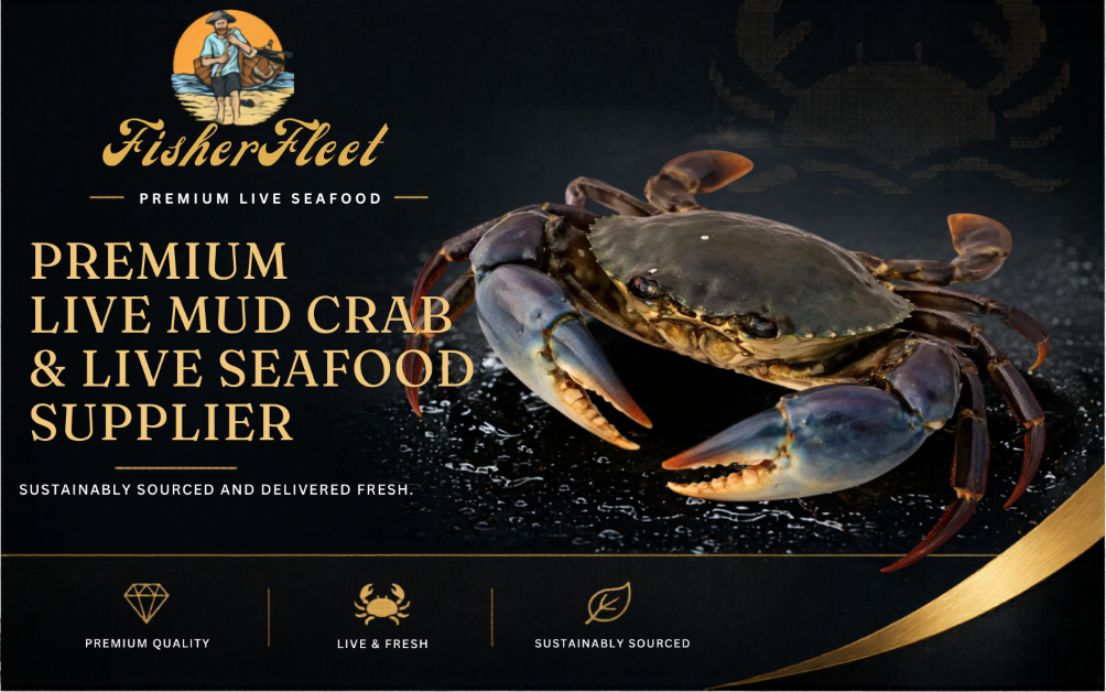 Mud Crab – FisherFleet